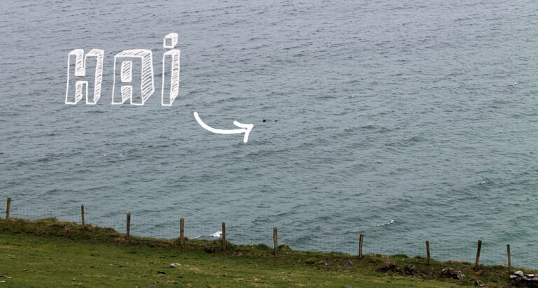 Irland Roadtrip - Dingle Peninsula und Slea Head Drive